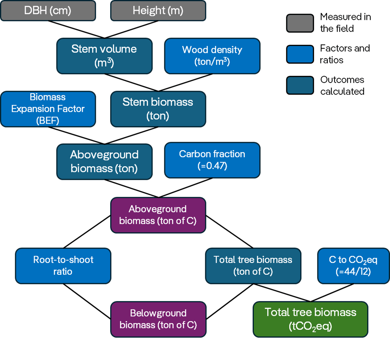 Demystifying carbon calculation in ARR (Afforestation, Reforestation ...