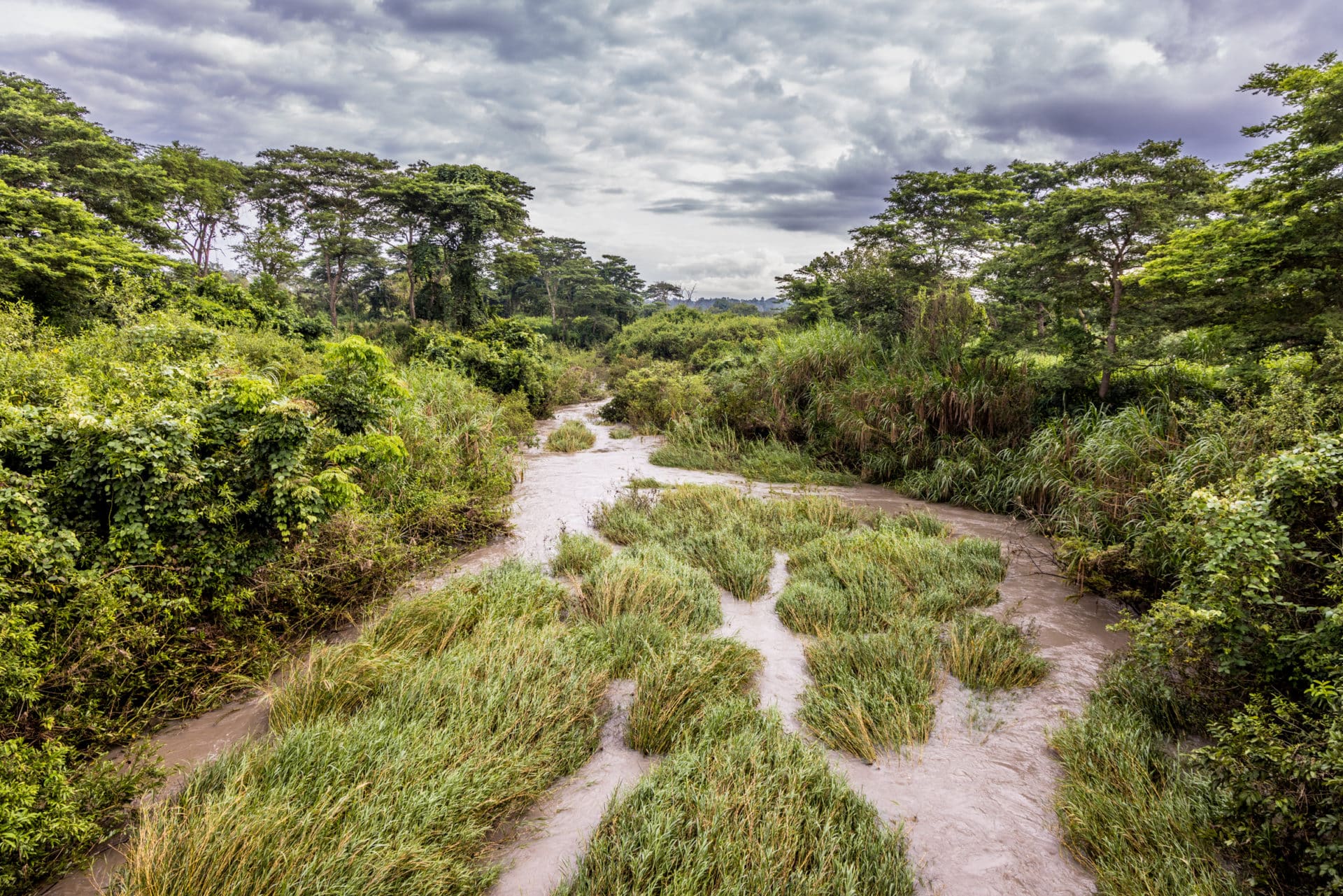 Mount Kei Reforestation Project: our journey to restore forests in ...